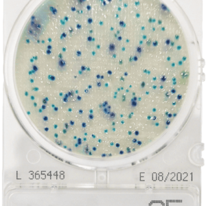 Compact Dry Arkiv - Food Diagnostics