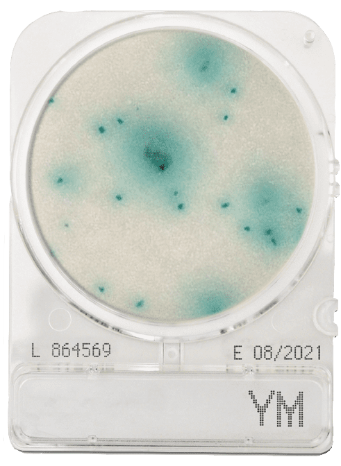 Compact Dry YM - Gær & Skimmel - Food Diagnostics
