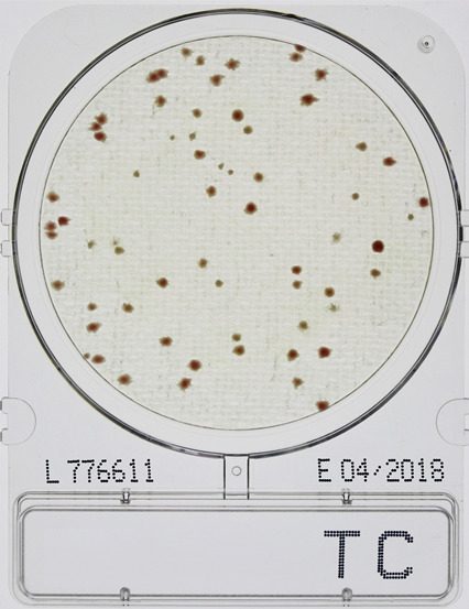 Compact Dry TC - Totalkim - Food Diagnostics