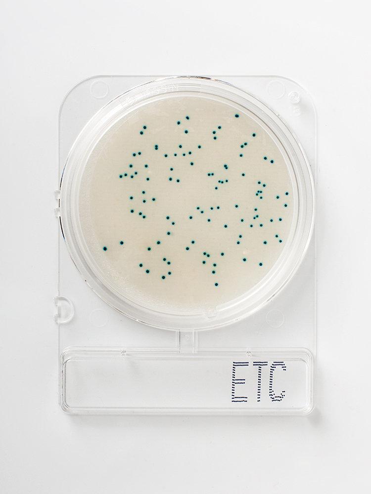 Compact Dry ETC - Food Diagnostics