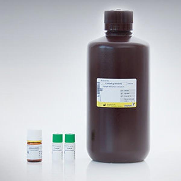 Cocktail Solution til Gliadin kit - Food Diagnostics