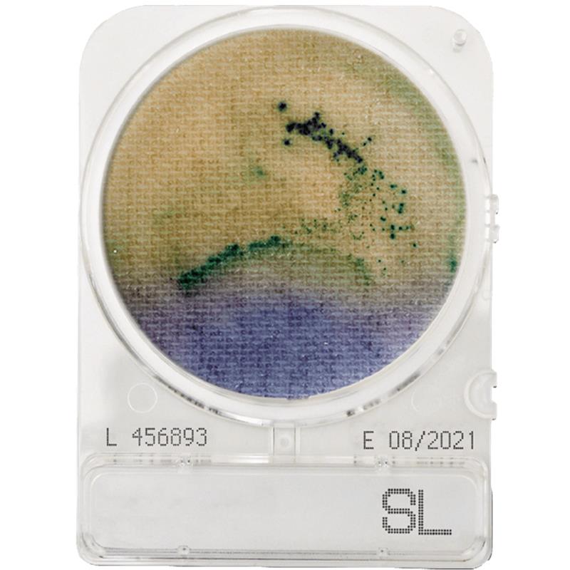 Compact Dry SL - 40 stk - Food Diagnostics | Hurtig levering