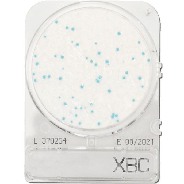 Compact Dry BC test af Bacillus cereus - Food Diagnostics