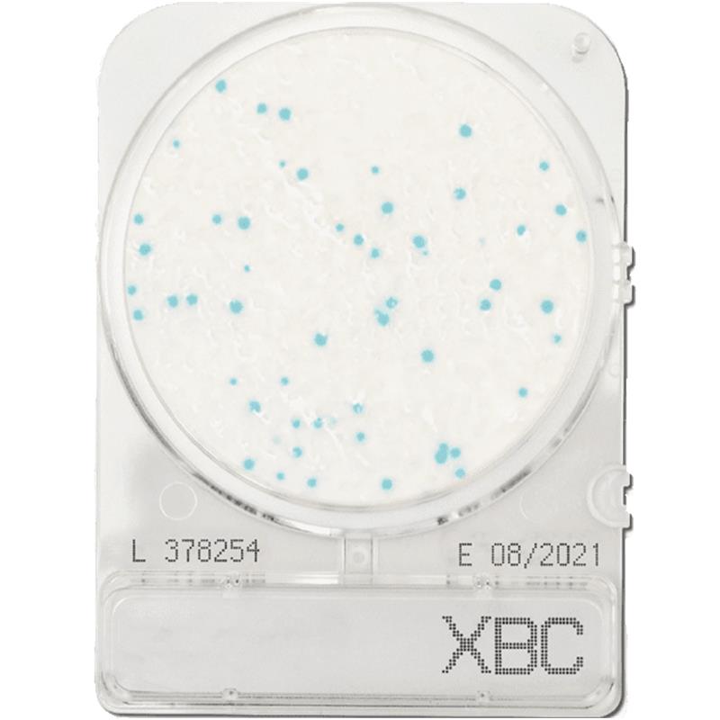 Compact Dry BC test af Bacillus cereus - Food Diagnostics