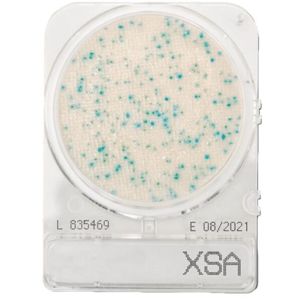 Compact Dry XSA - Staphylococcus aureus - Food Diagnostics