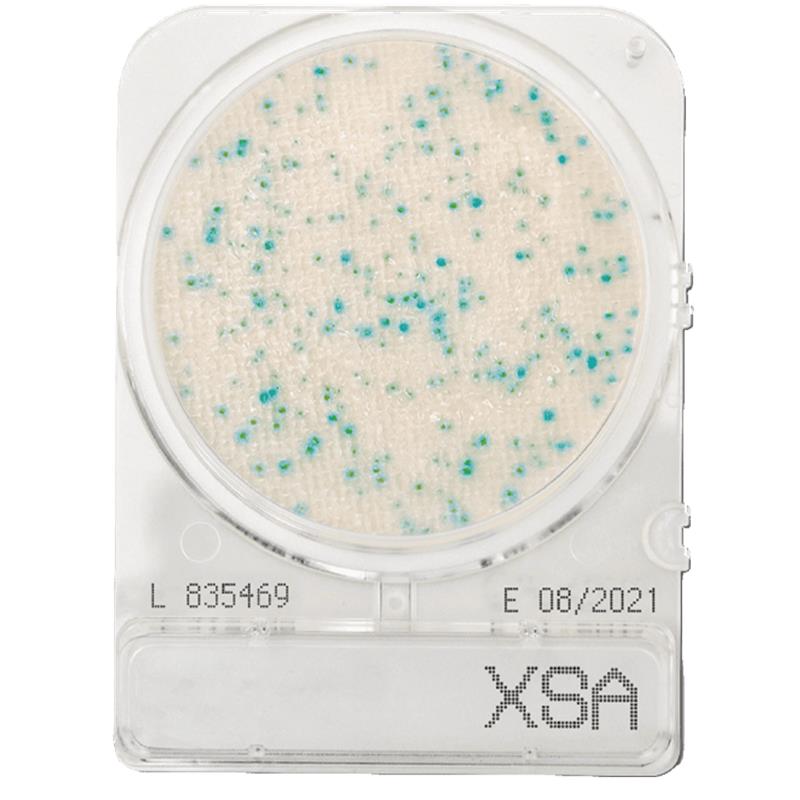 Compact Dry XSA - Staphylococcus aureus - Food Diagnostics | Hurtig ...